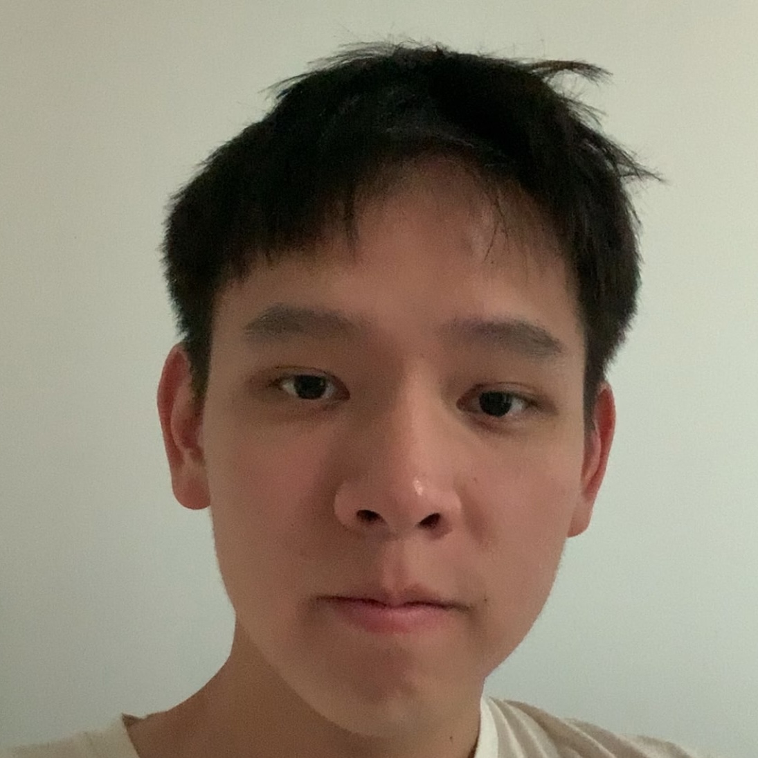 EECS16A: Designing Information Devices and Systems I, Fall 2024