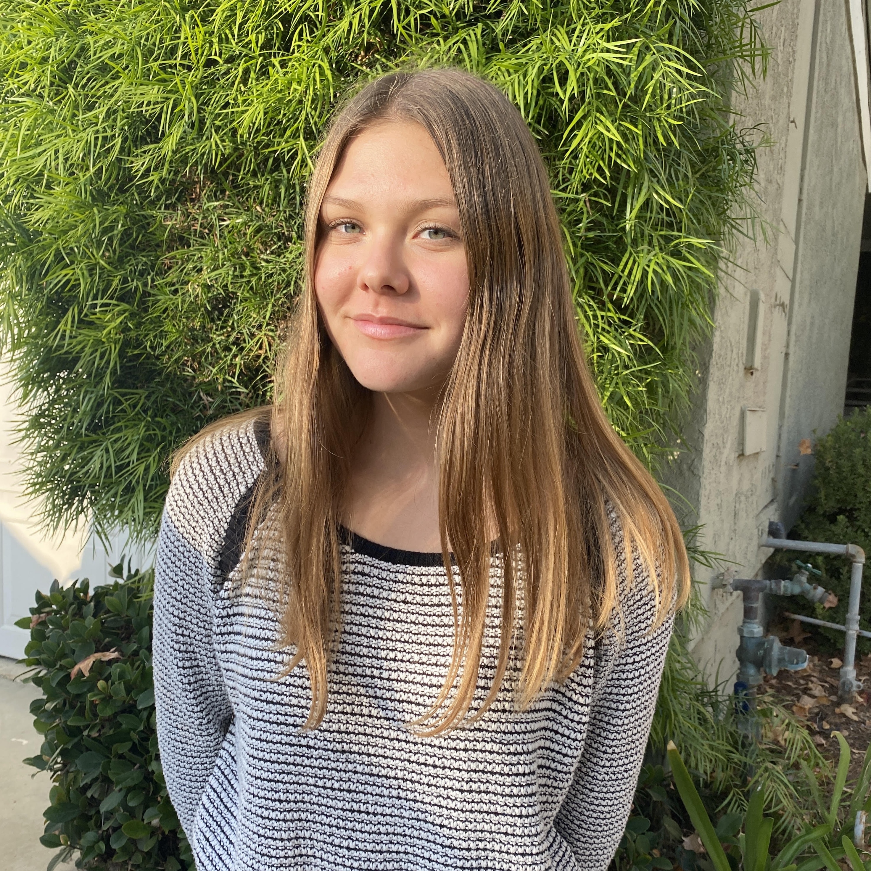 EECS16A: Designing Information Devices and Systems I, Fall 2024