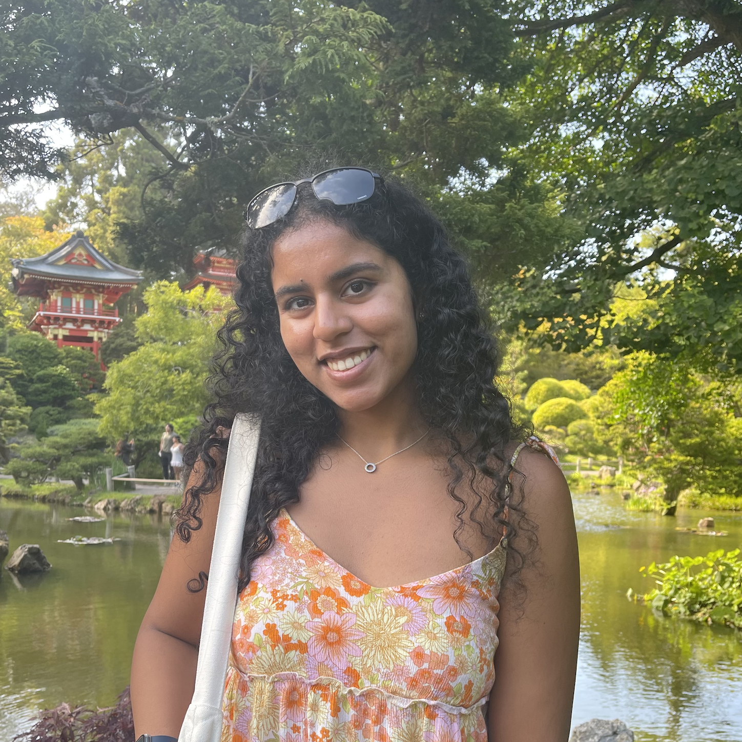 EECS16A: Designing Information Devices and Systems I, Fall 2024